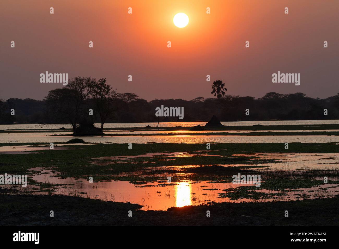 Dusk, Shire river, Liwonde National Park, Malawi Stock Photo - Alamy
