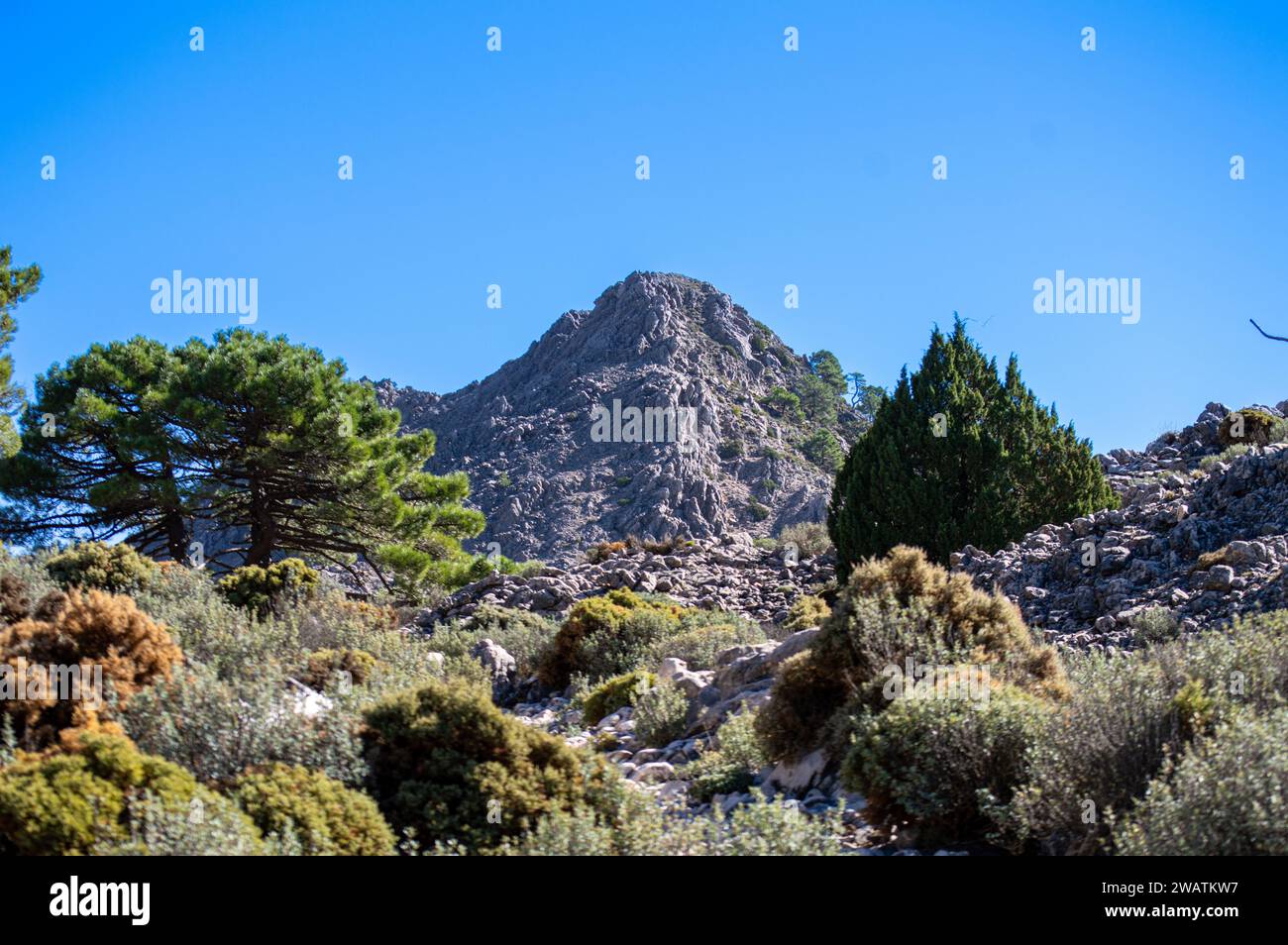 Hiking trail to Lucero peak, Natural Mountains park of Tejeda, Almijara ...