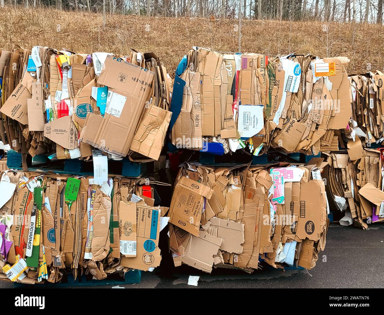 Man made from recycled materials hi-res stock photography and images ...