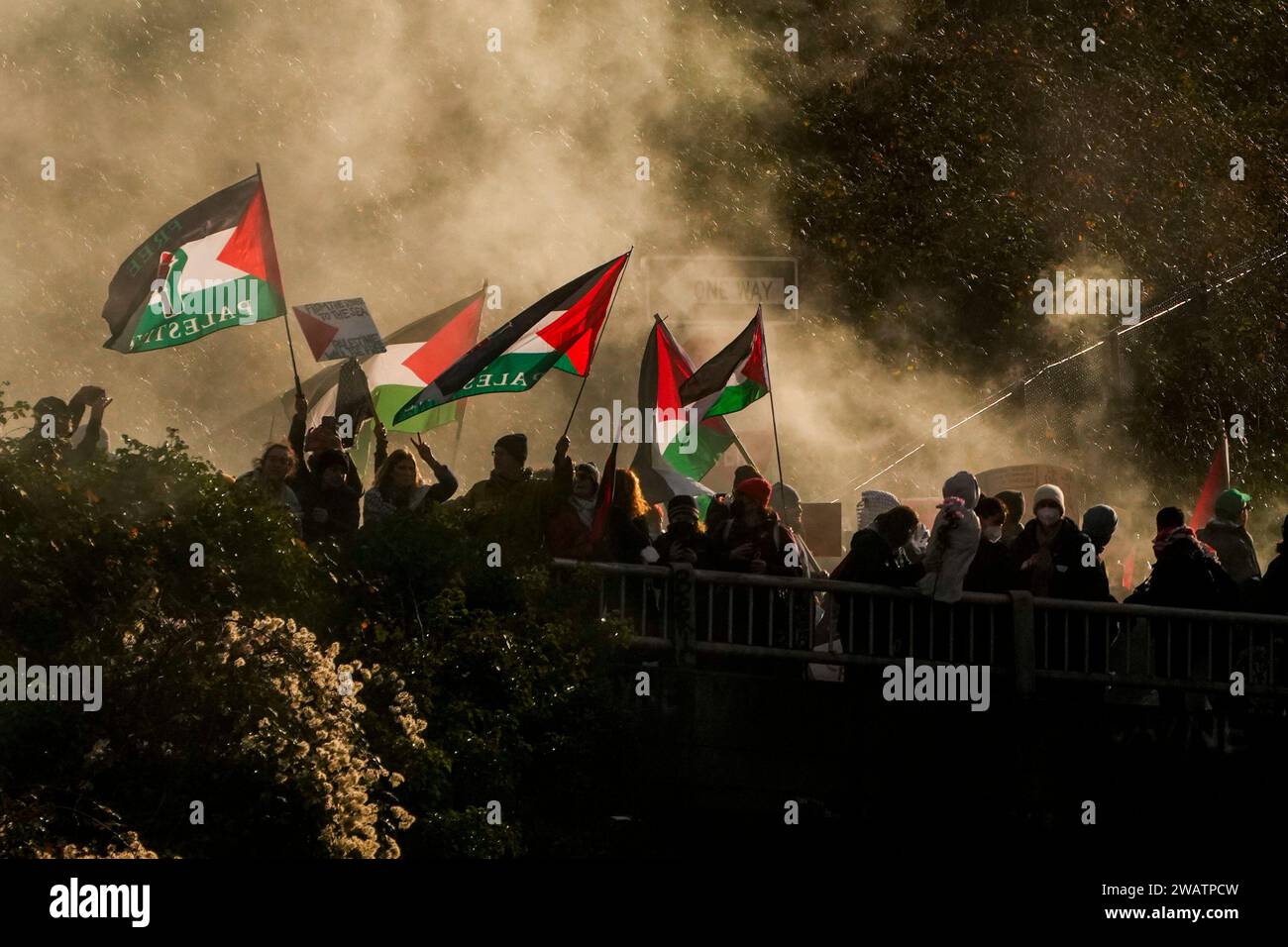 Protesters calling for a cease-fire in the Israel-Hamas war wave flags ...
