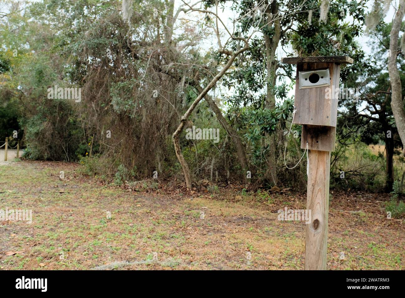 Metal hole protector hi-res stock photography and images - Alamy