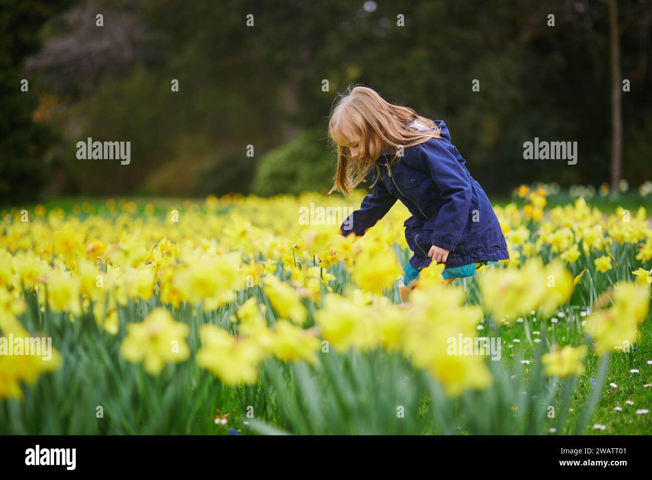 Adorable preschooler girl enjoying nice spring day in park during ...