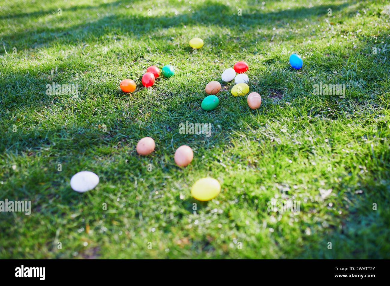 Colored Easter eggs hidden in the grass for the Easter tradition of egg ...