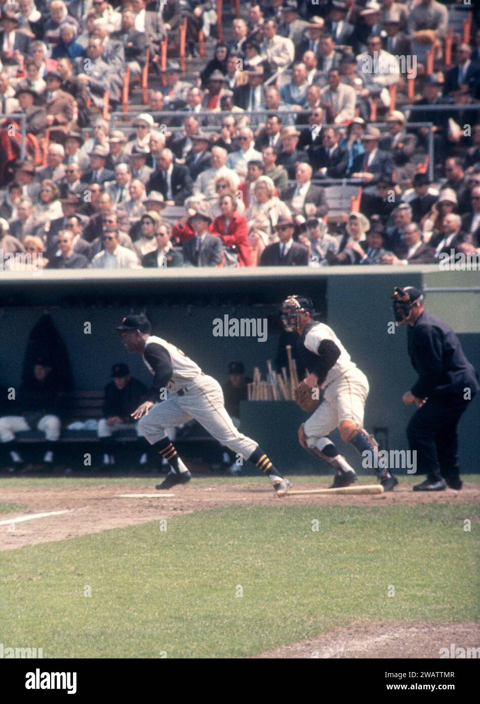 SAN FRANCISCO, CA - MAY 2: Roberto Clemente #21 of the Pittsburgh ...