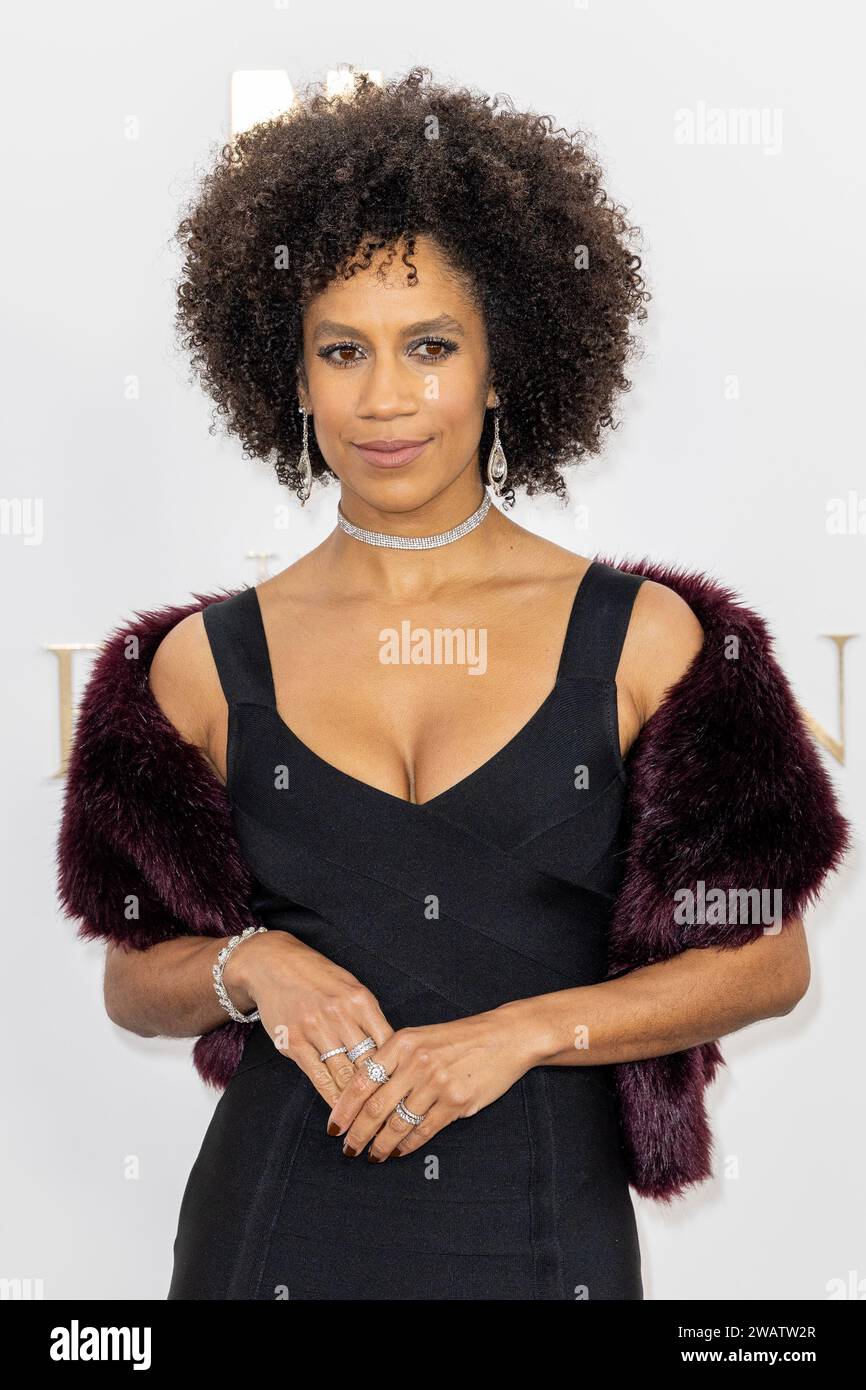 Cast and guests on the red carpet for The Crown' finale celebration ...