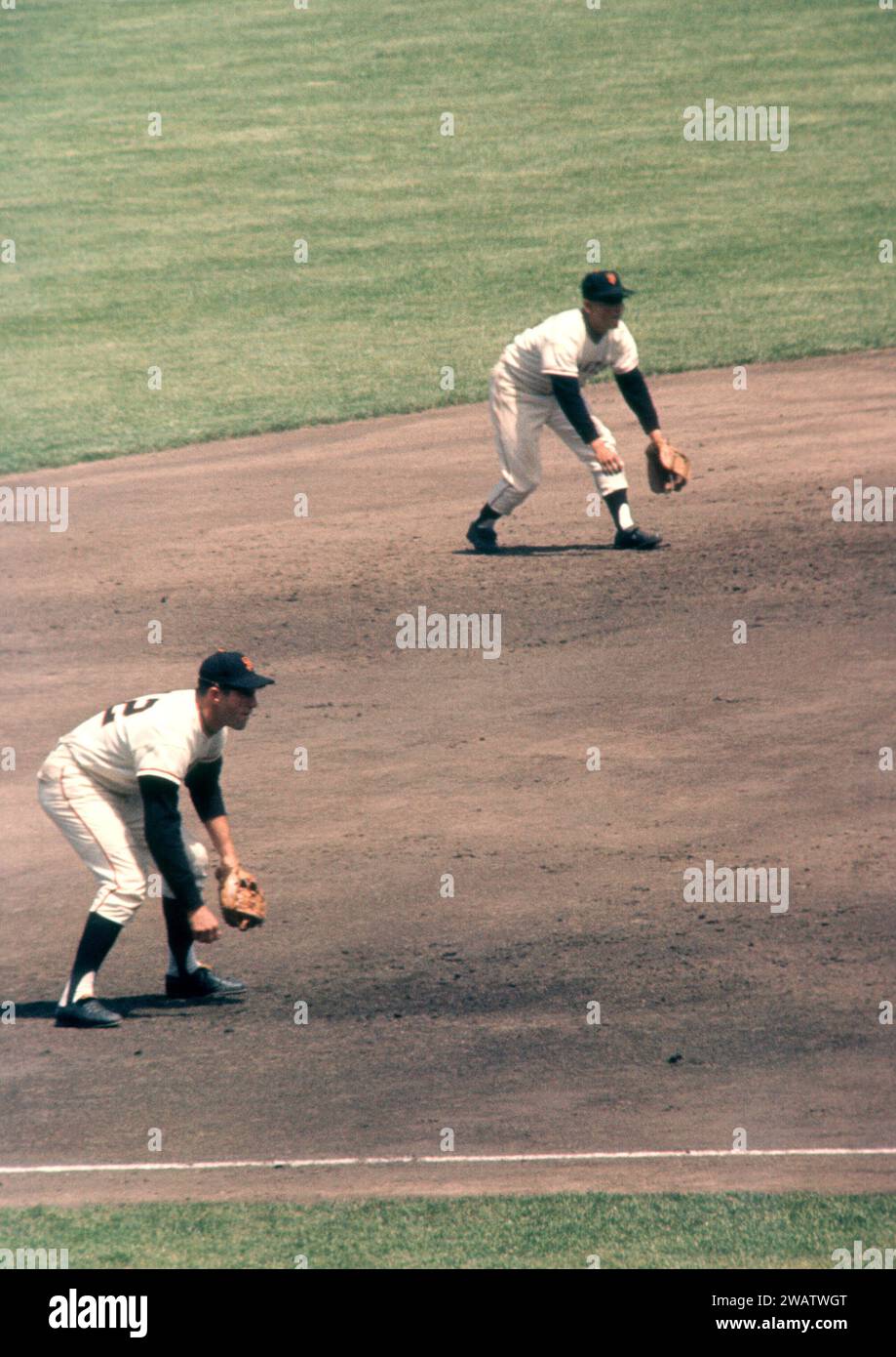 SAN FRANCISCO, CA - MAY 2: Third baseman Jim Davenport #12 and ...