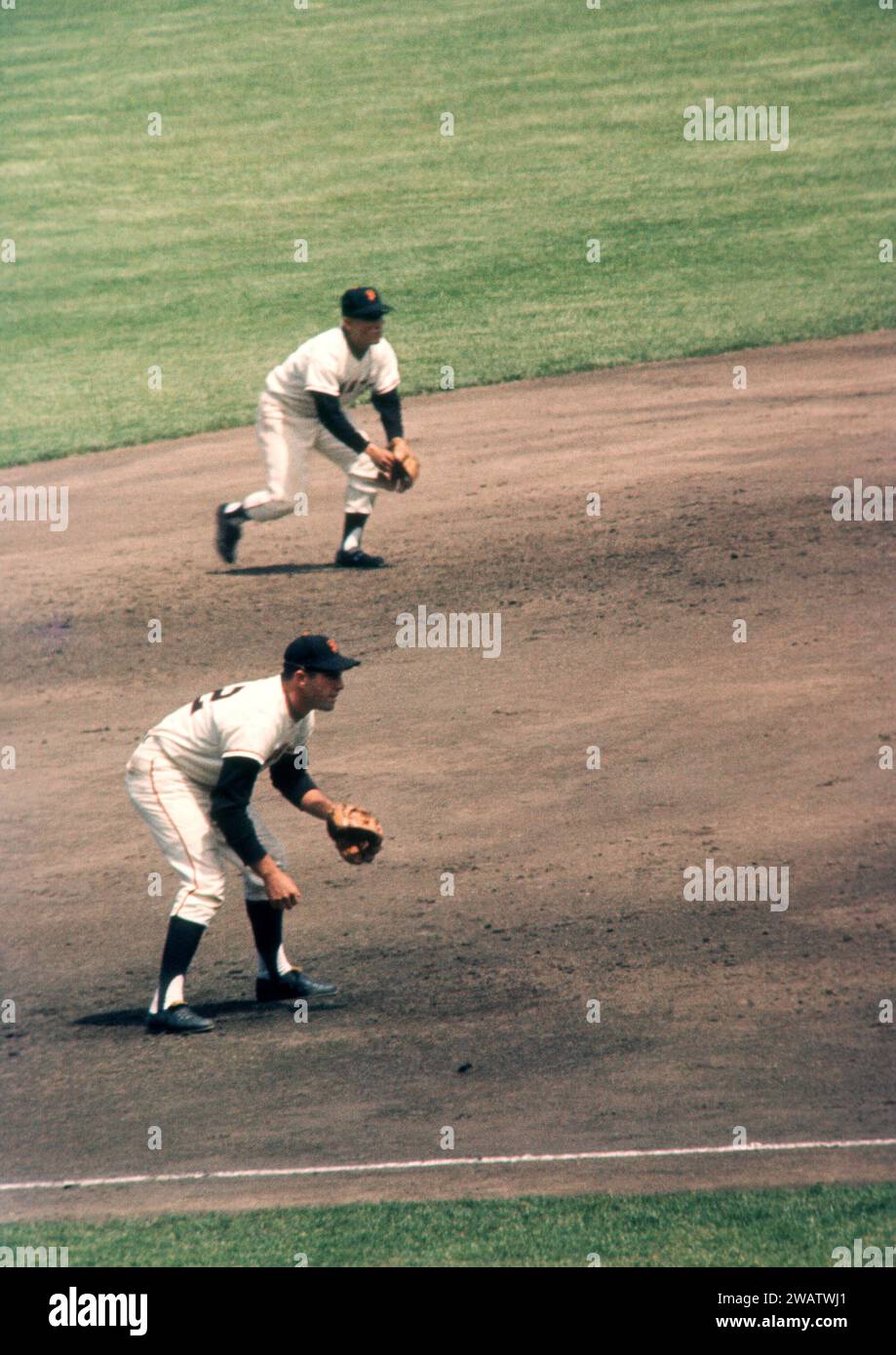SAN FRANCISCO, CA - MAY 2: Third baseman Jim Davenport #12 and ...