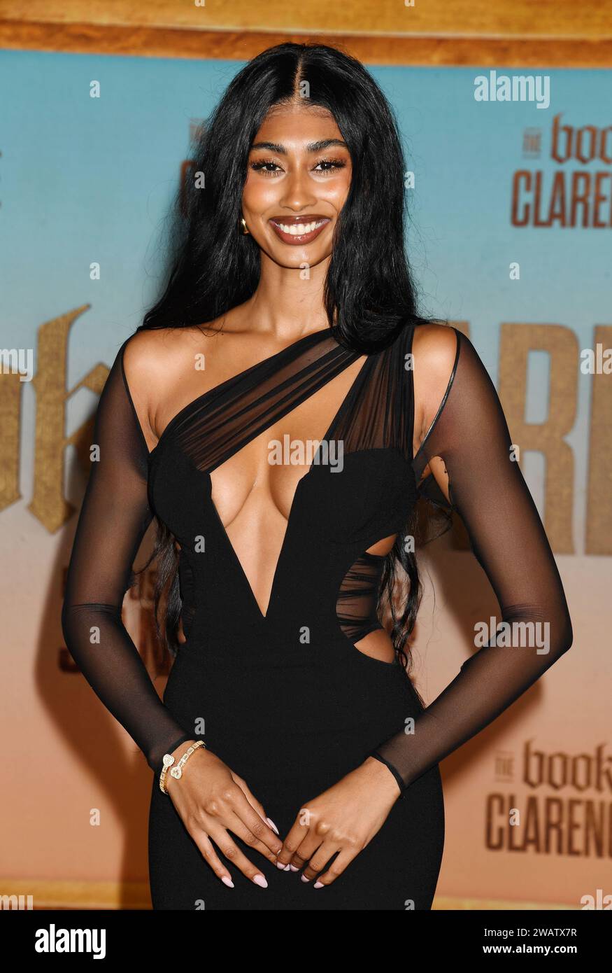 LOS ANGELES, CALIFORNIA - JANUARY 05: Jasmine B. attends the Los Angeles Premiere of Sony ...