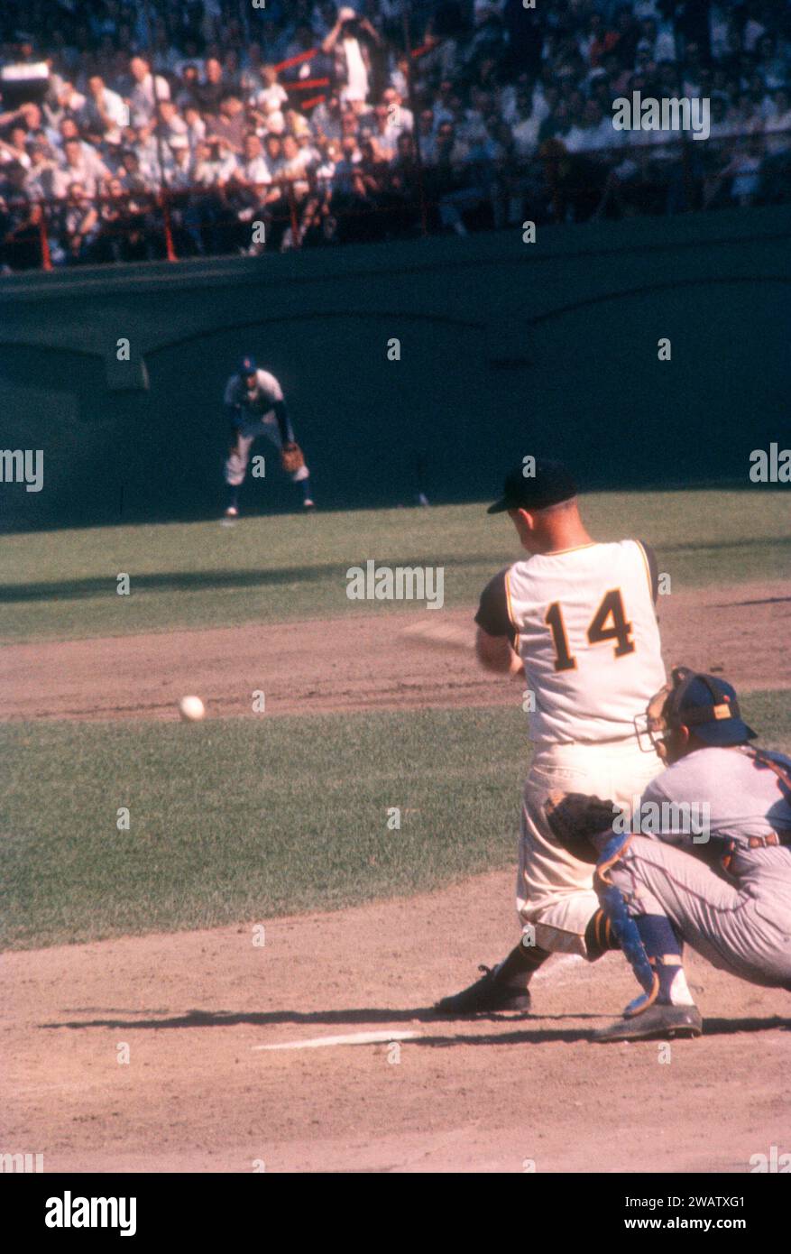PITTSBURGH, PA - JUNE 26: Rocky Nelson #14 of the Pittsburgh Pirates ...