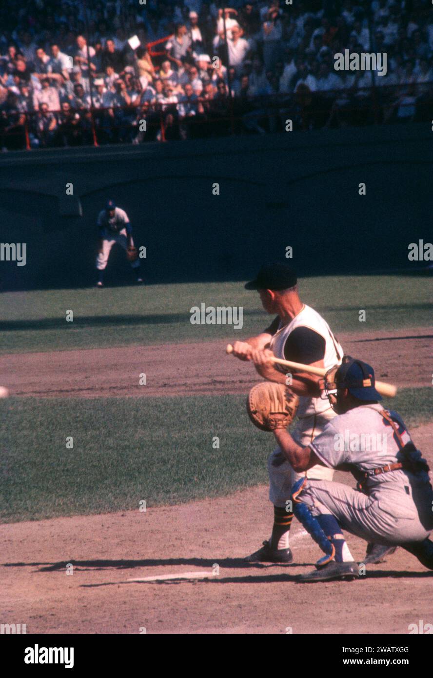 PITTSBURGH, PA - JUNE 26: Rocky Nelson #14 of the Pittsburgh Pirates ...
