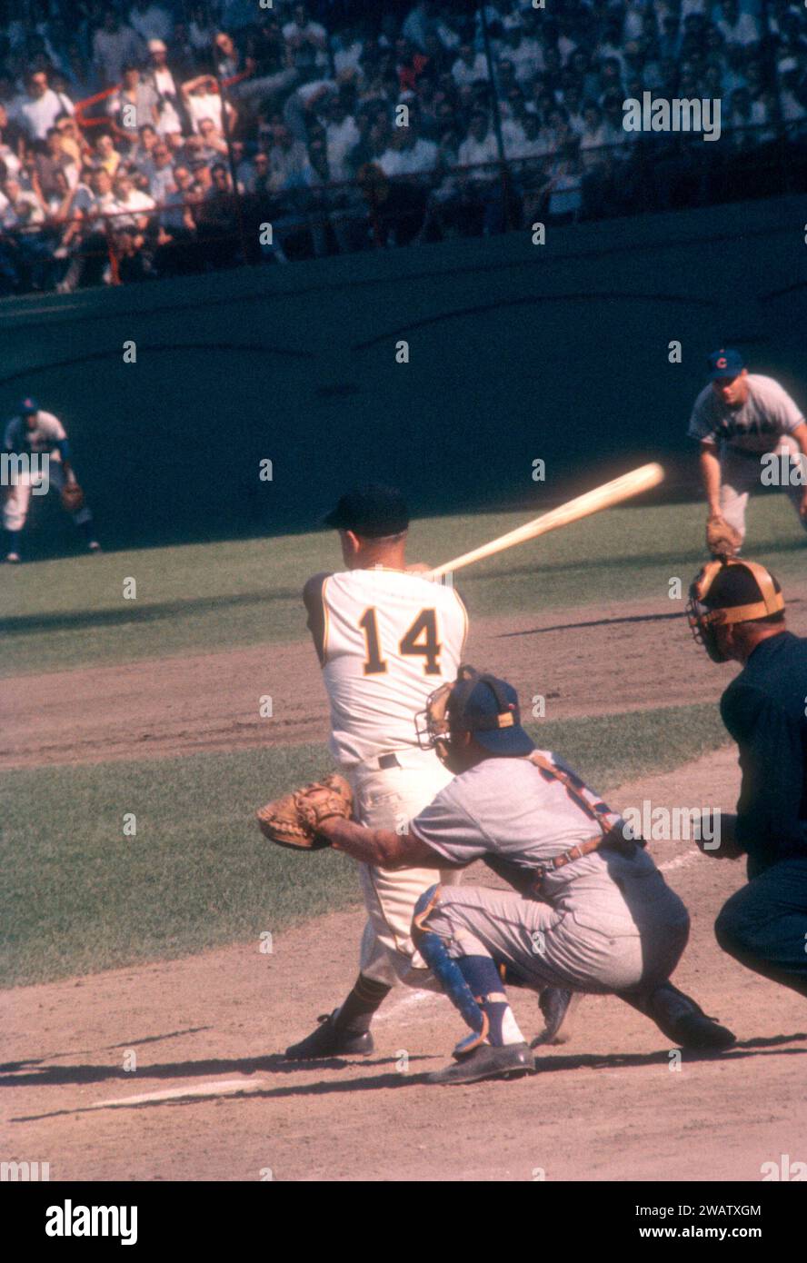 PITTSBURGH, PA - JUNE 26: Rocky Nelson #14 of the Pittsburgh Pirates ...