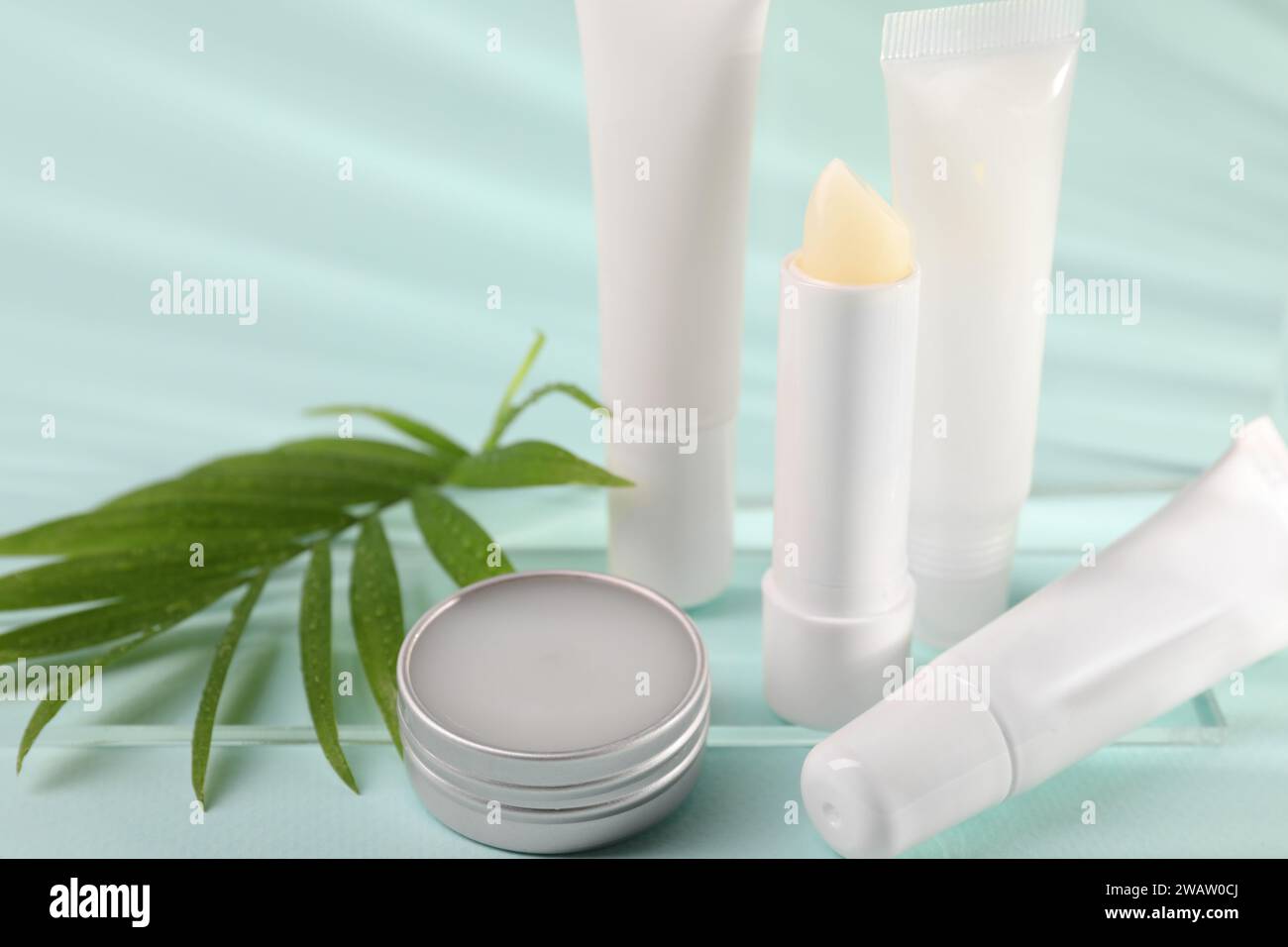 Different lip balms and palm leaf on light blue background, closeup ...