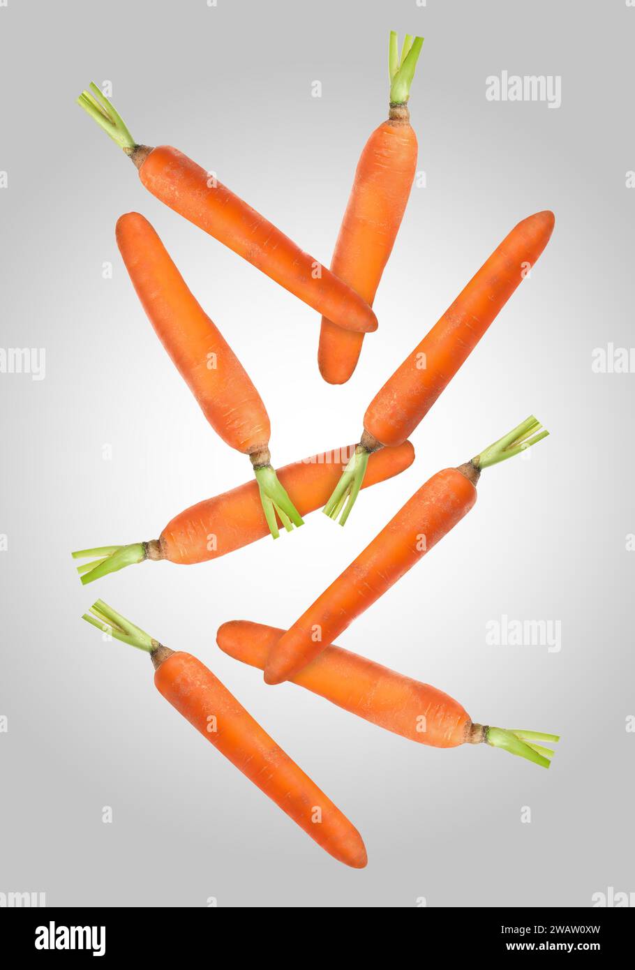 Fresh ripe carrots falling on light grey gradient background Stock ...