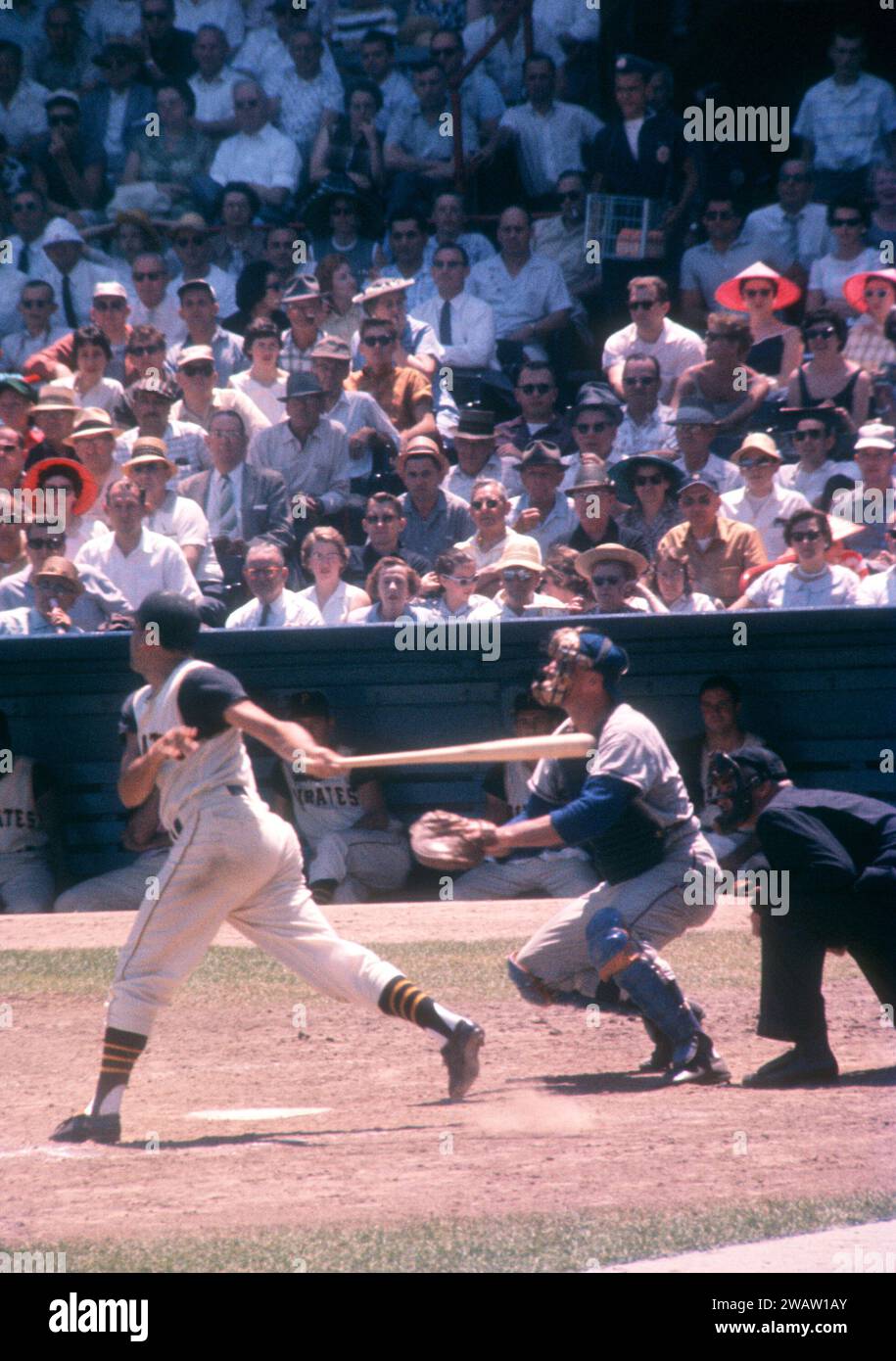 PITTSBURGH, PA - JUNE 26: Gino Cimoli #20 of the Pittsburgh Pirates ...