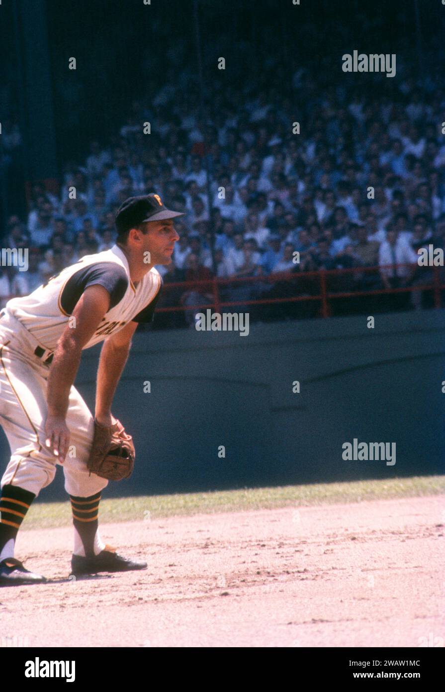 PITTSBURGH, PA - JUNE 26: Shortstop Dick Groat #24 of the Pittsburgh ...