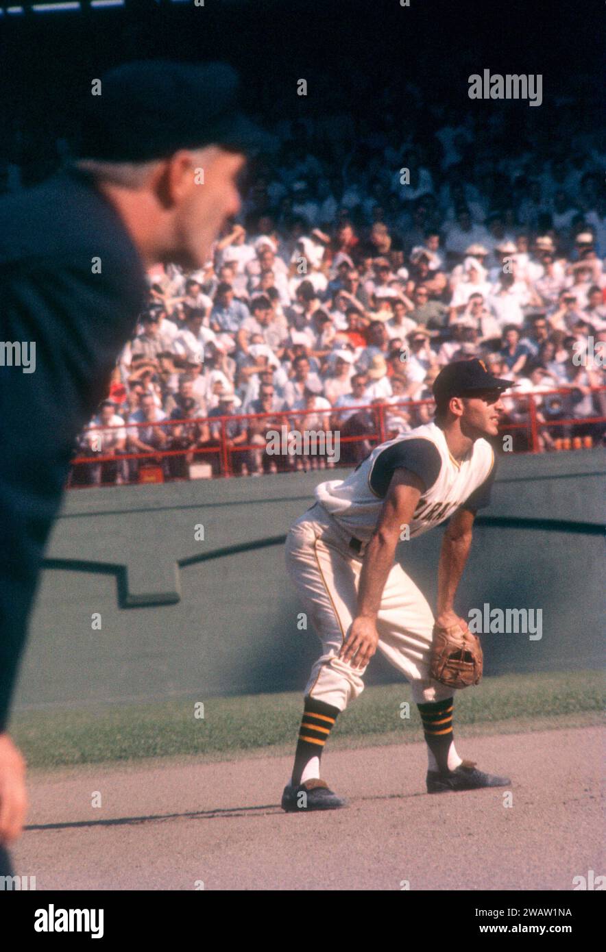 PITTSBURGH, PA - JUNE 26: Shortstop Dick Groat #24 of the Pittsburgh ...