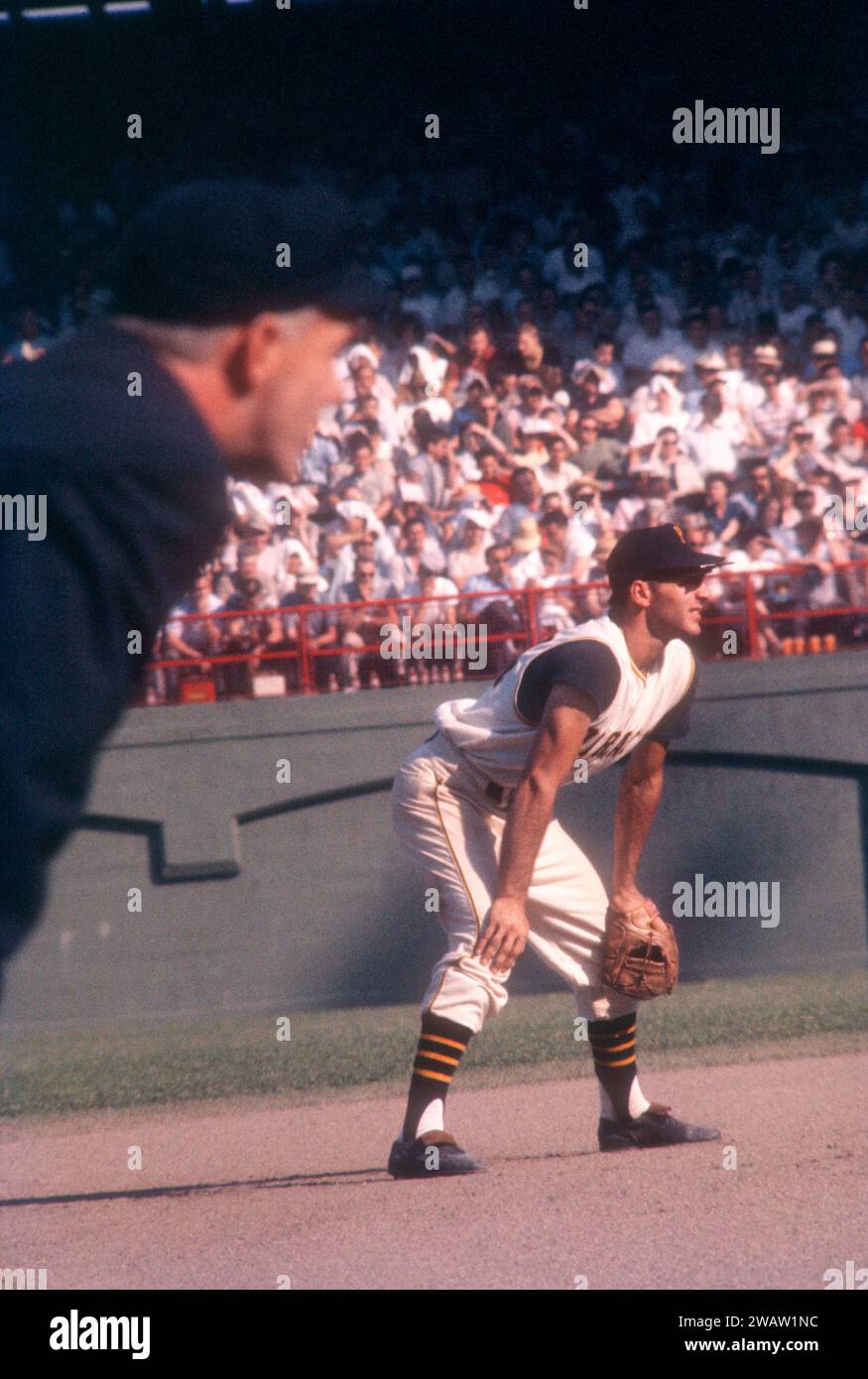 PITTSBURGH, PA - JUNE 26: Shortstop Dick Groat #24 of the Pittsburgh ...