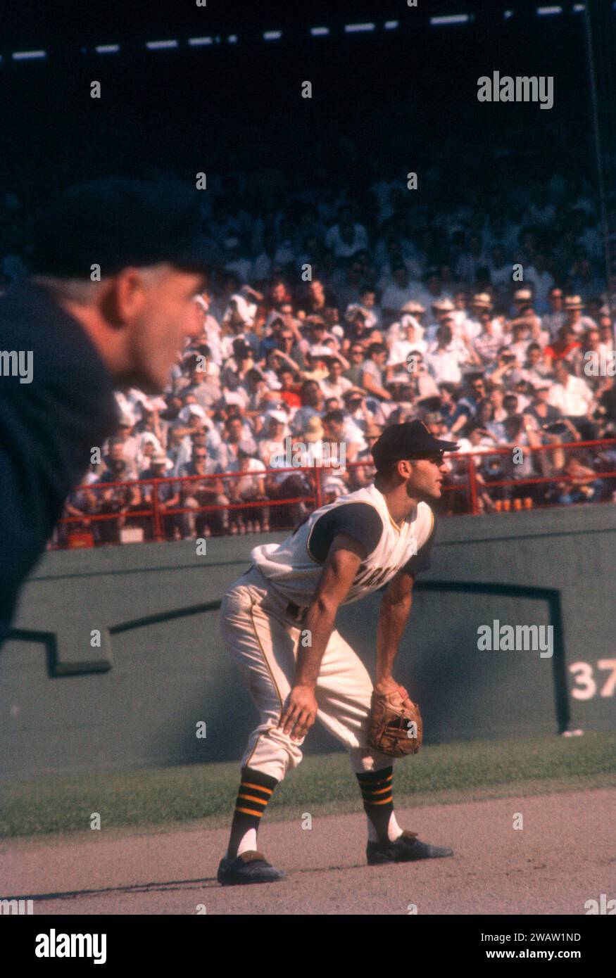 PITTSBURGH, PA - JUNE 26: Shortstop Dick Groat #24 of the Pittsburgh ...