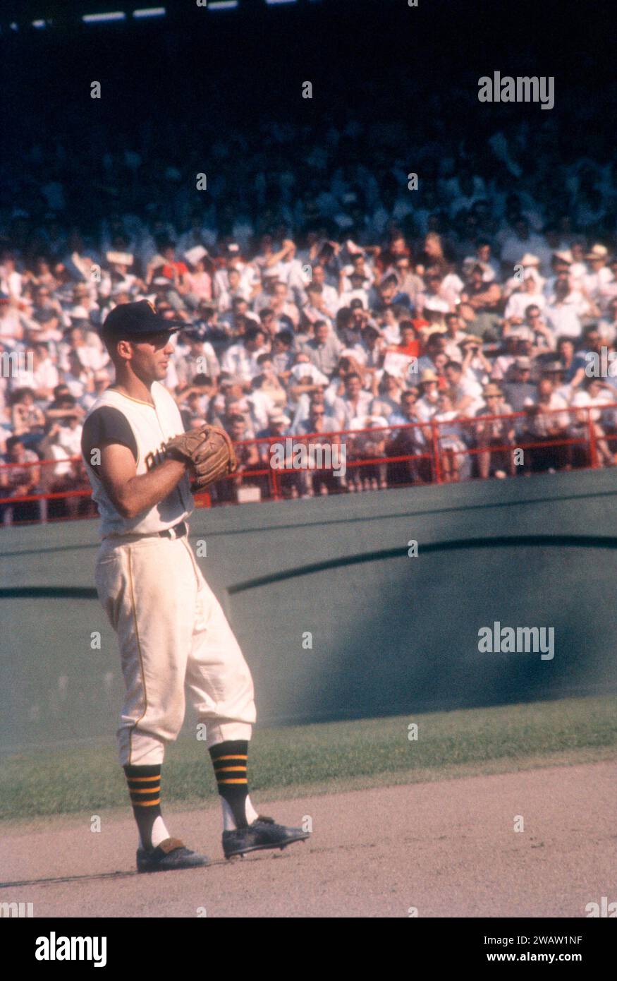 PITTSBURGH, PA - JUNE 26: Shortstop Dick Groat #24 of the Pittsburgh ...