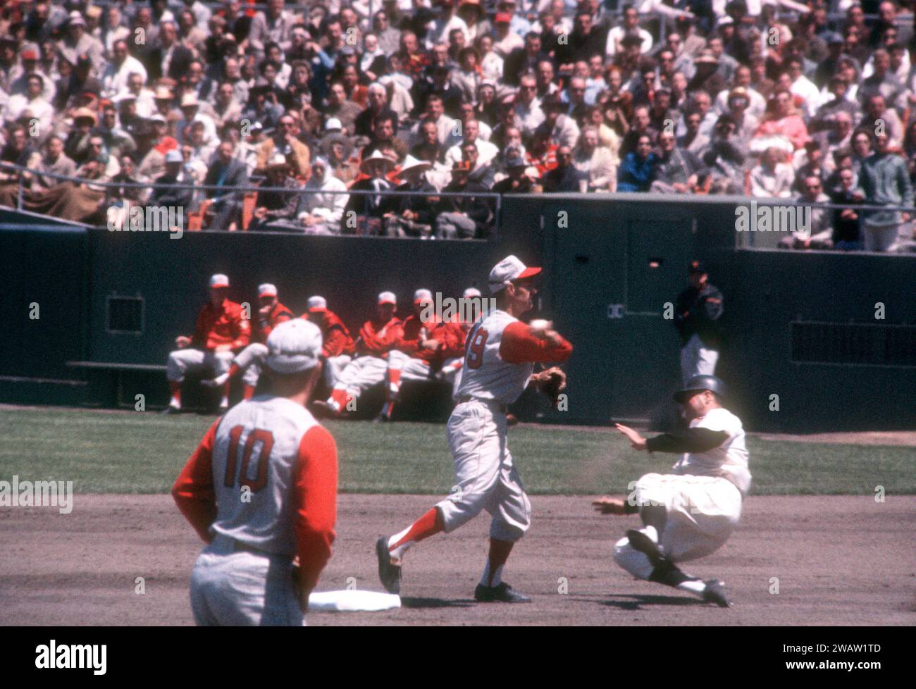 SAN FRANCISCO, CA - MAY 30: Don Blasingame #19 of the Cincinnati Reds ...