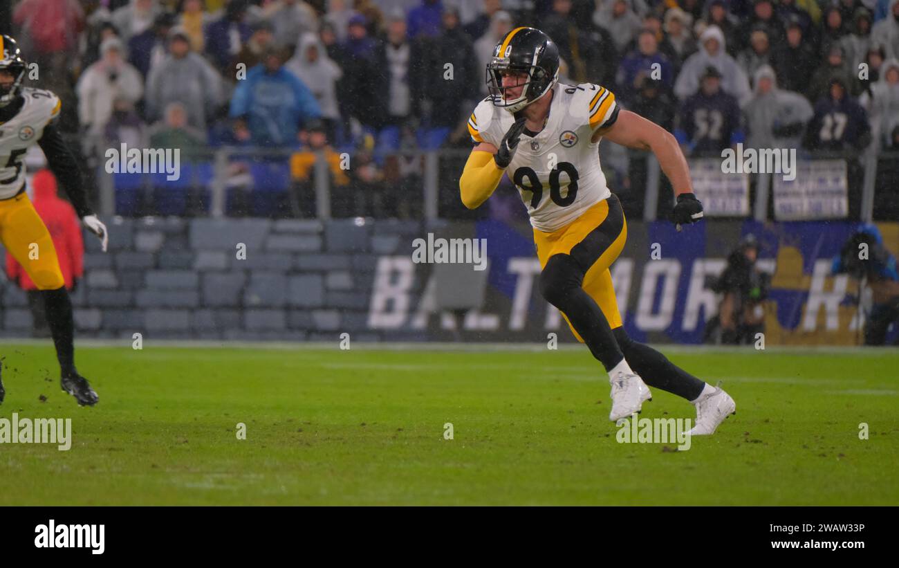 Jan ravens hi-res stock photography and images - Alamy