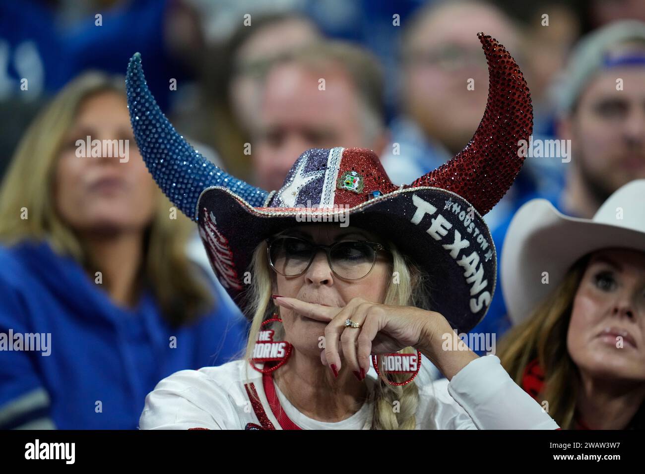 A Houston Texans fan watches from the stands during the first half of ...
