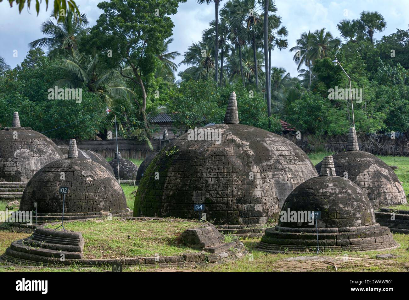 A section of the 20 visible stupas at Kathurugoda (Kantharodai) Ancient ...