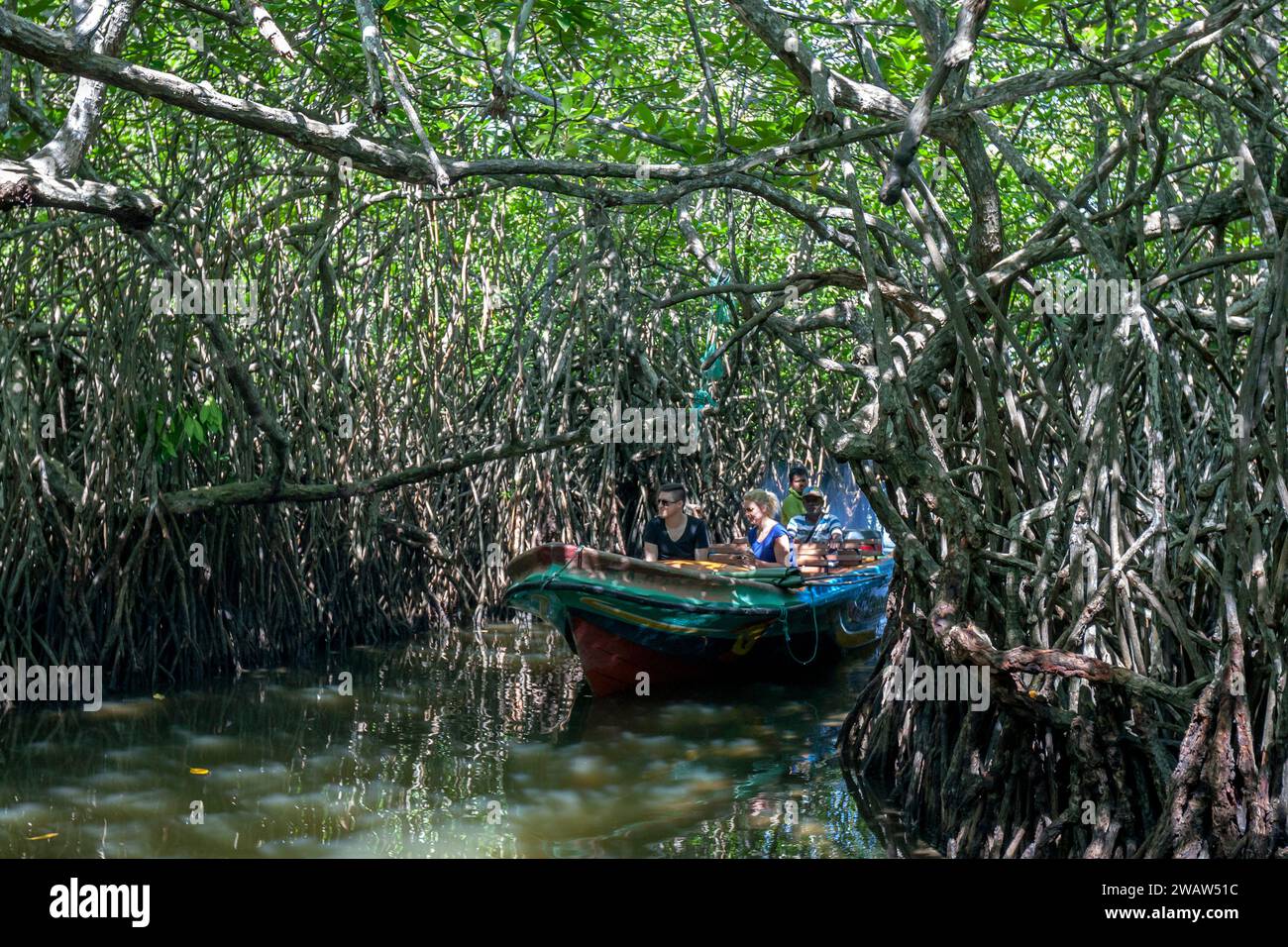 Tourists pass through a section of mangrove trees often referred to by ...