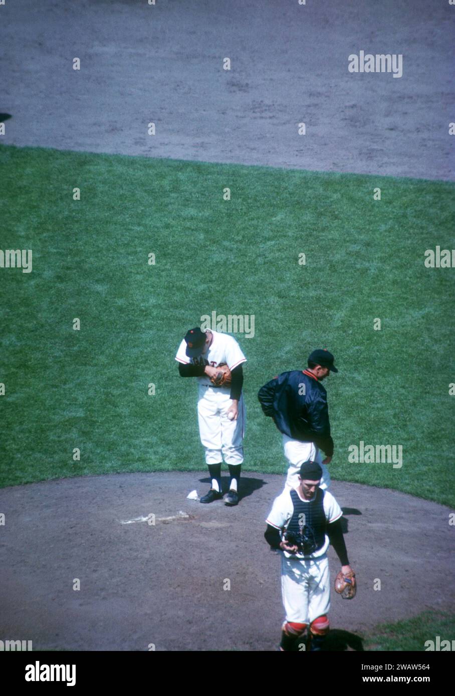SAN FRANCISCO, CA - SEPTEMBER 1: Pitching coach Larry Jansen #46 and ...