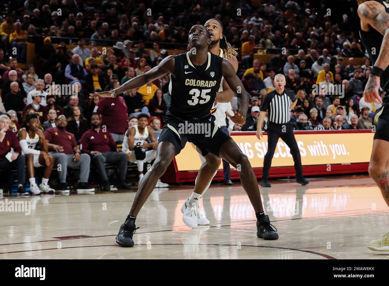 GLENDALE, AZ - JANUARY 06: Colorado Buffaloes forward Assane Diop (35 ...