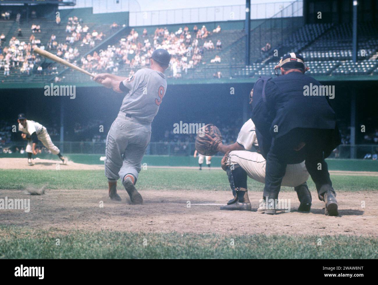DETROIT, MI - JUNE 28: Billy Gardner #9 of the Baltimore Orioles swings ...