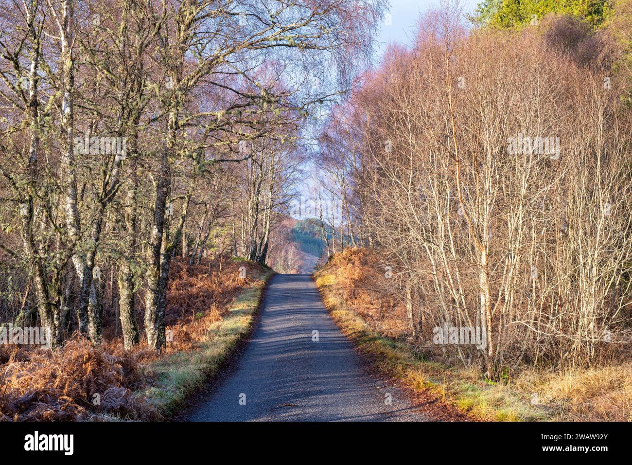 Road in scottish highlands along hi-res stock photography and images ...