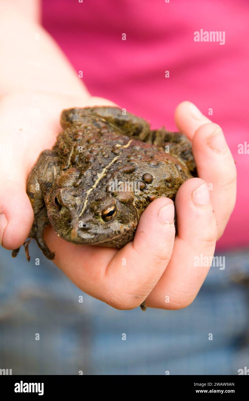 Child forest trail hi-res stock photography and images - Alamy