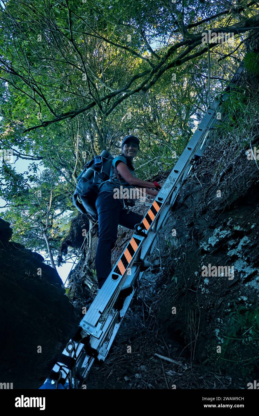 Climbing ladders hi-res stock photography and images - Alamy
