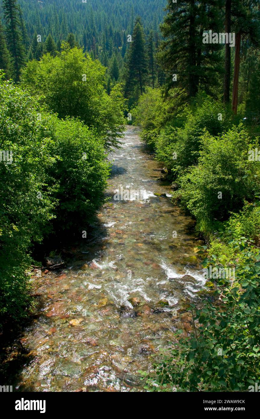 Plum creek timber hi-res stock photography and images - Alamy