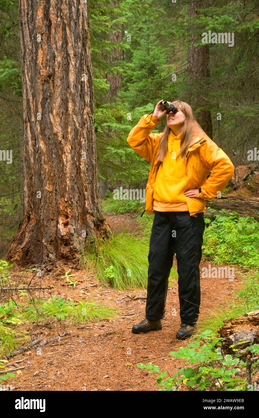Birding along Clearwater River Nature Trail, Lolo National Forest ...