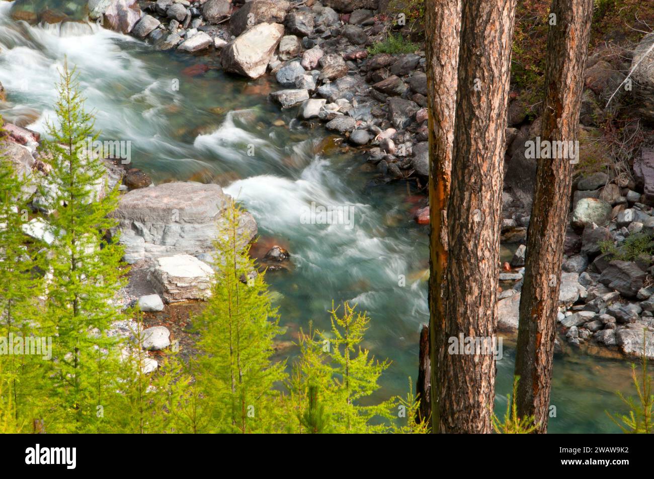 North Fork Blackfoot River, Lolo National Forest, Montana Stock Photo ...