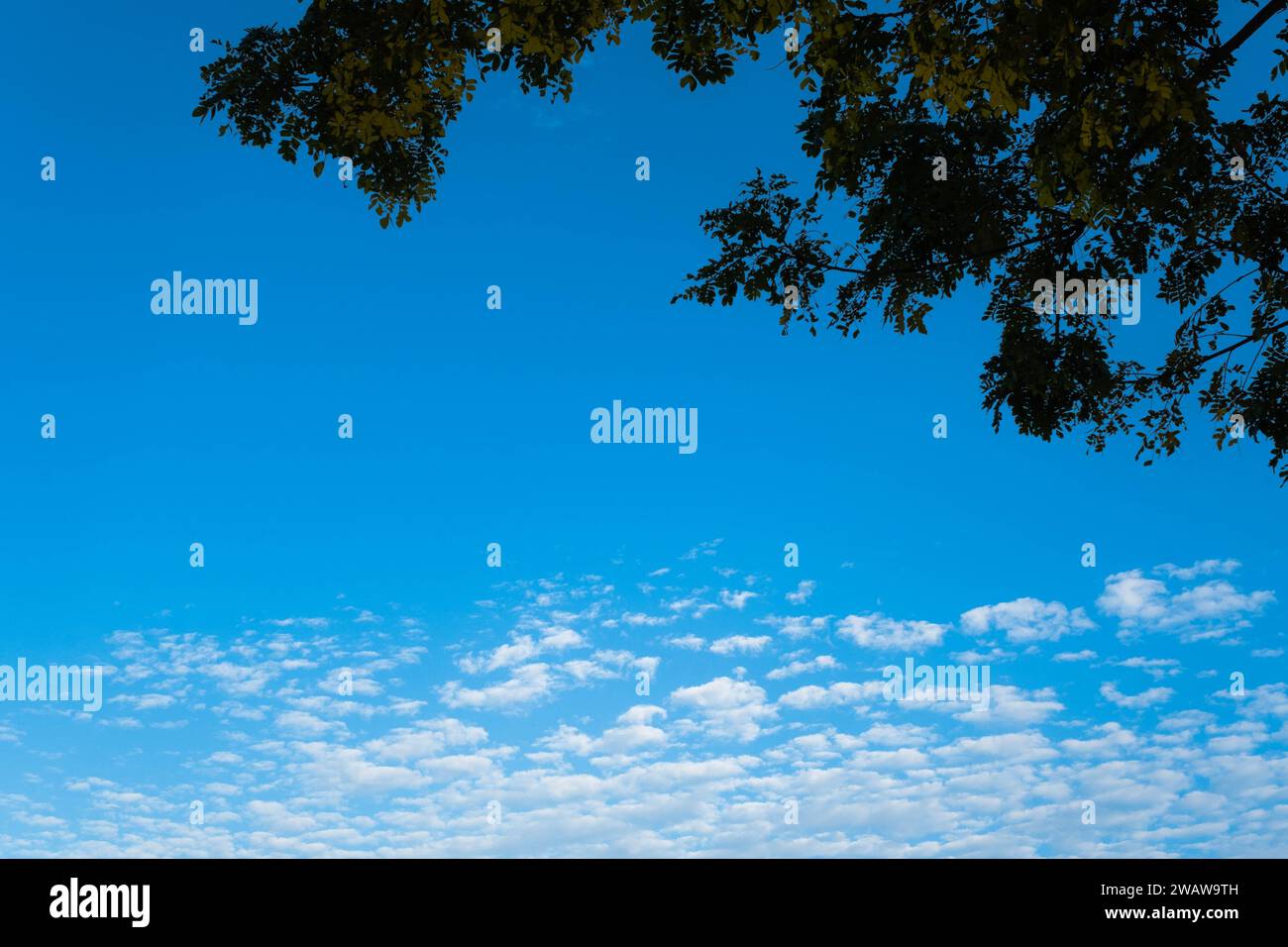 Time lapse sunlight on solar hi-res stock photography and images - Alamy