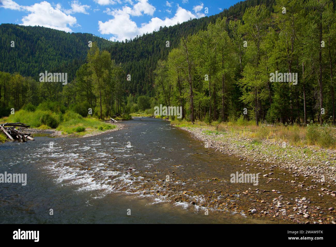 Rock Creek, Lolo National Forest, Montana Stock Photo - Alamy