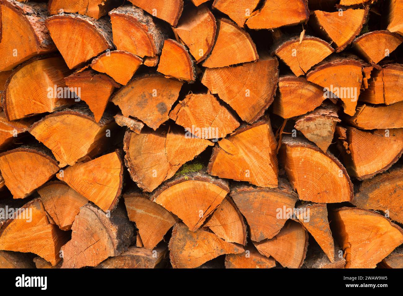 Firewood pile, Ninemile Remount Depot and Ranger Station, Lolo National ...