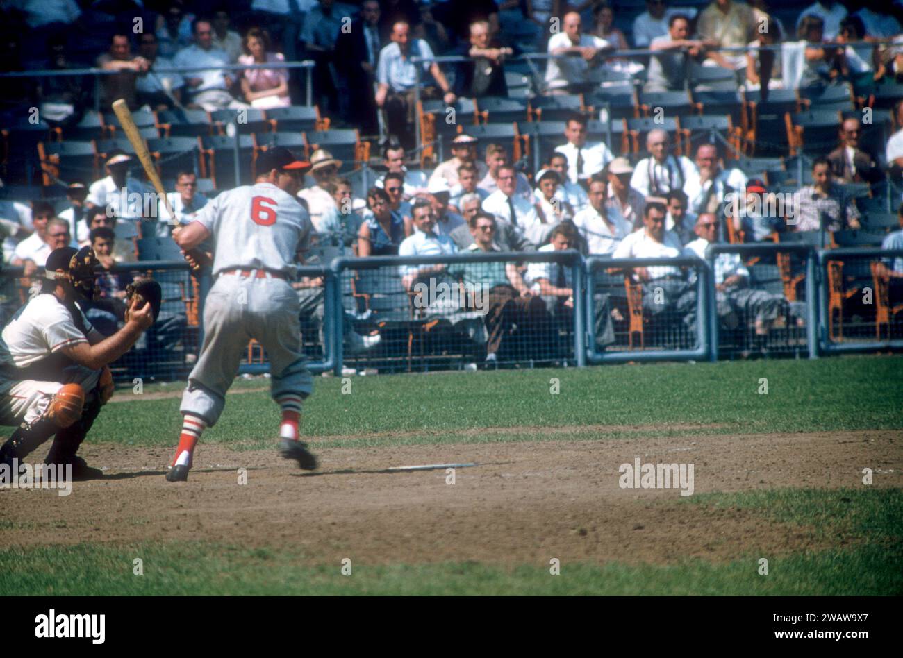 NEW YORK, NY - 1955: Stan Musial #6 of the St. Louis Cardinals bats ...