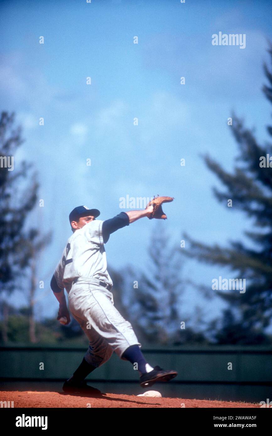 Sandy koufax pitches hi-res stock photography and images - Alamy