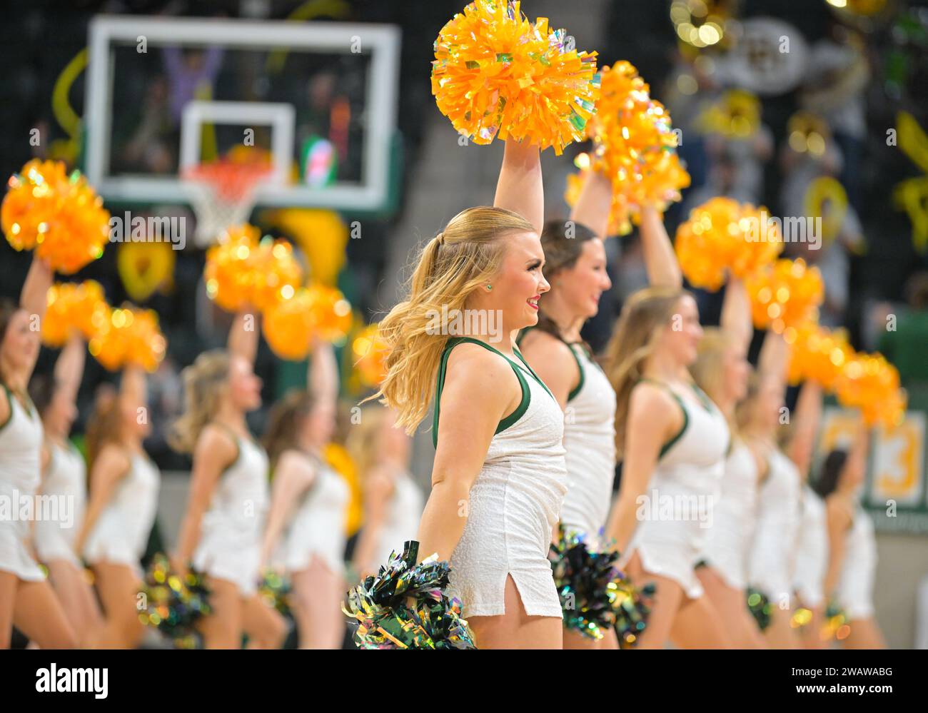 Waco, Texas, USA. 6th Jan, 2024. Baylor Lady Bears cheerleaders perform ...