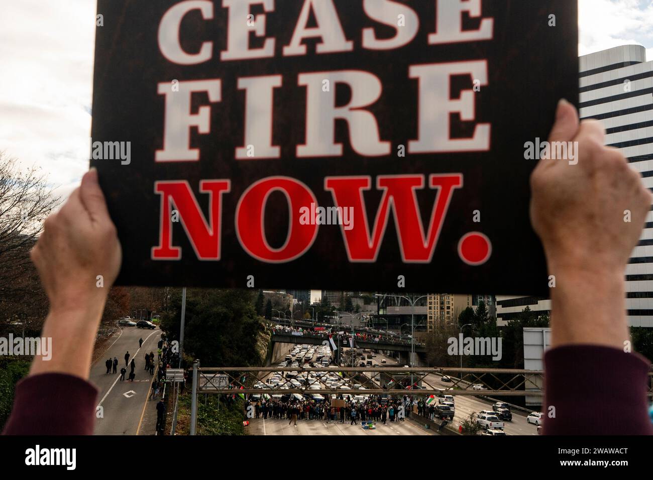 A pro-Palestinian protester holds a "cease fire now" sign as others ...
