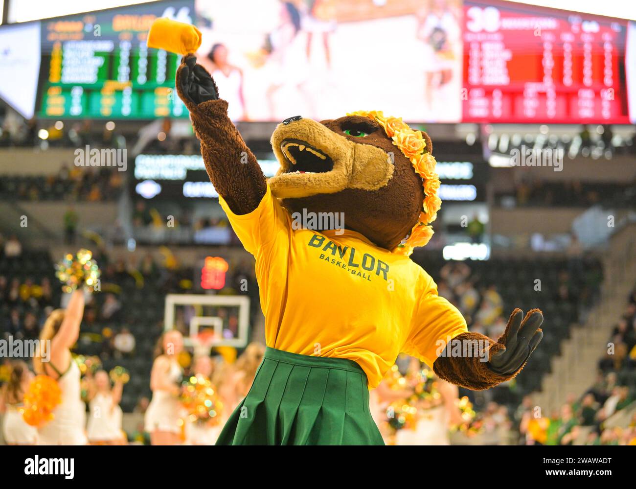 Waco, Texas, USA. 6th Jan, 2024. Baylor Lady Bears mascot throw a shirt ...
