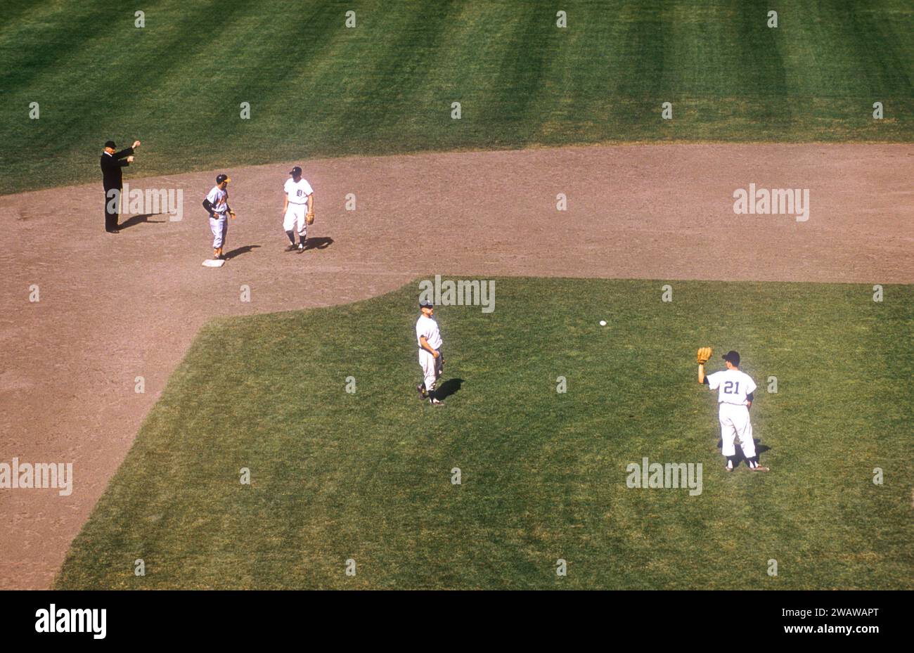 DETROIT, MI - JUNE 27: Shortstop Rocky Bridges #8 of the Detroit Tigers ...