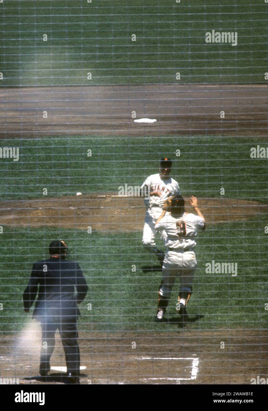 SAN FRANCISCO, CA - JUNE 1: Catcher Bob Schmidt #9 of the San Francisco ...