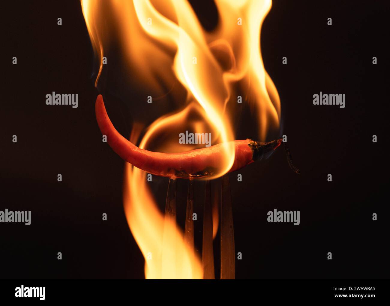 Chili pepper on fork with flames on black background. Burning red chili ...