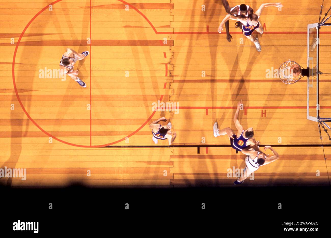 NEW YORK, NY - JANUARY 8: Joe Graboski #9 and Neil Johnston #6 of the ...