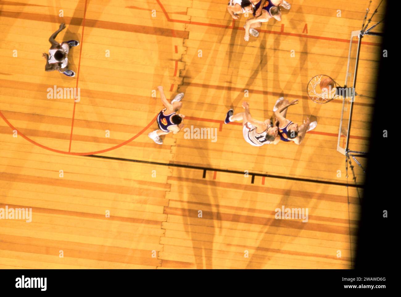 NEW YORK, NY - JANUARY 8: Neil Johnston #6, Ernie Beck #7 and Walt ...